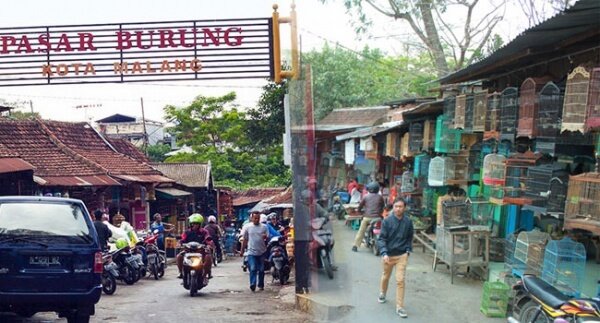 10 Wisata Belanja Murah Meriah Di Malang – Ongis Travel